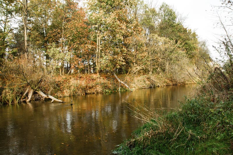 Swider river in snow stock image. Image of winter, polish - 230466347
