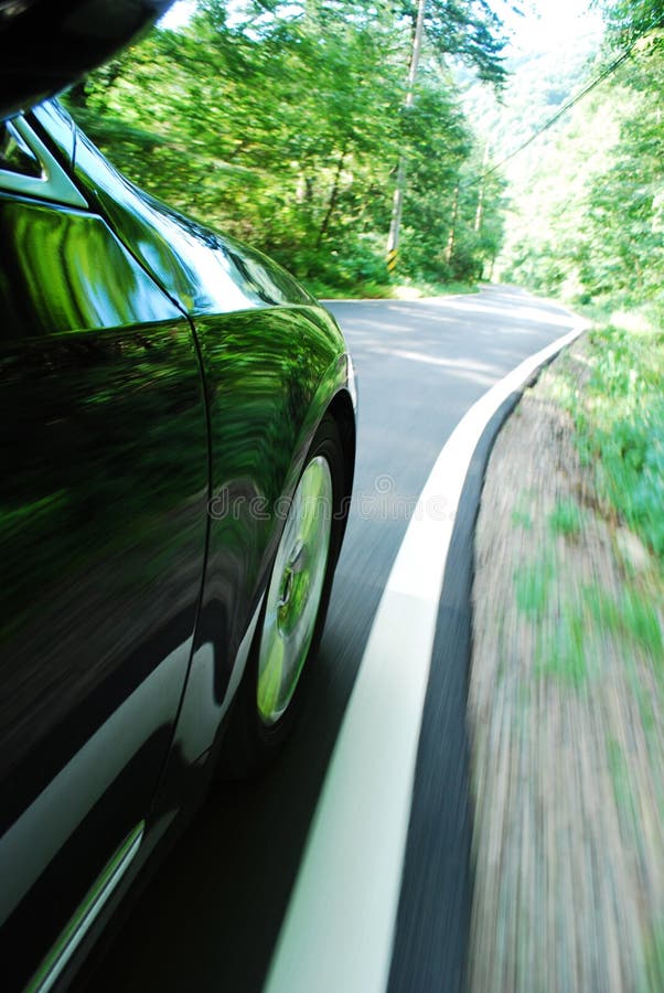 Swift stock photo. Image of alone, getaway, freedom, forest - 26084228