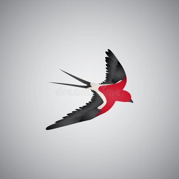Swift Bird. Vector Illustration Decorative Design Stock Vector ...