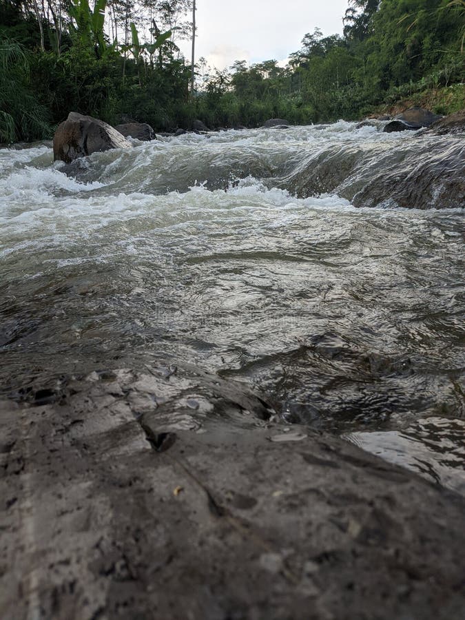 Swift and clear river stock photo. Image of river, nature - 242286332