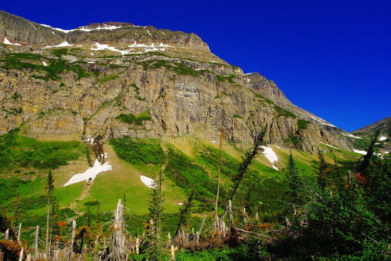 Swift Current Lake stock photo. Image of alpine, trees - 56082384