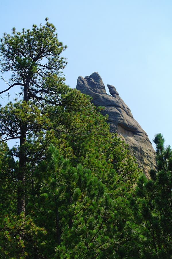 Swift Current River stock photo. Image of scenic, recreation - 55543252