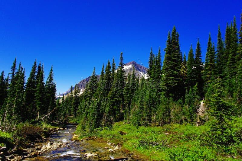 Swift Current Lake stock photo. Image of park, lake, scenic - 56082246