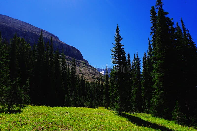 Swift Current Lake stock photo. Image of park, lake, scenic - 56082246