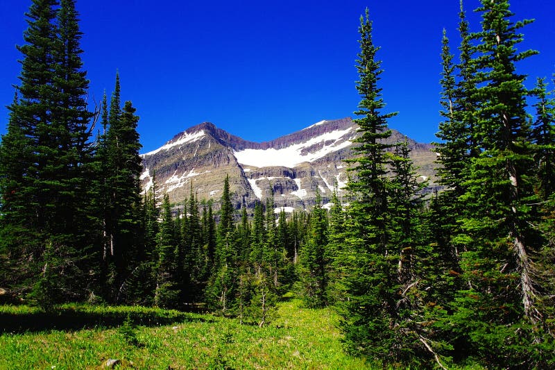 Swift Current Lake stock photo. Image of alpine, trees - 56082384