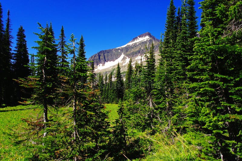 Swift Current Lake stock photo. Image of park, lake, scenic - 56082246