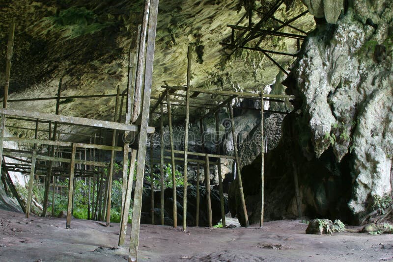 Swift Nest Caves stock image. Image of cave, nests, leaves - 7327465