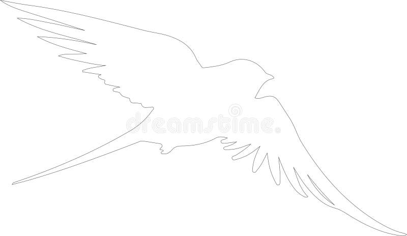 Swift Silhouette Stock Illustrations – 1,644 Swift Silhouette Stock ...