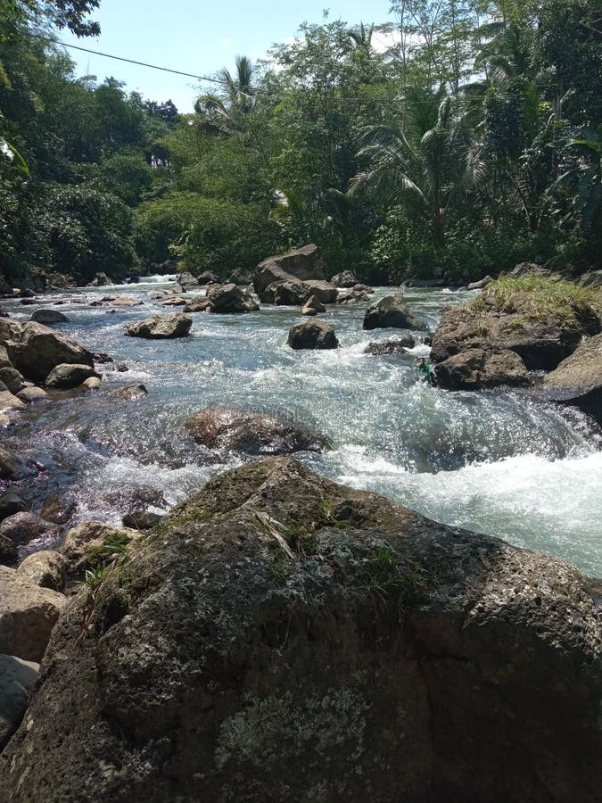 Swift river flow stock photo. Image of stone, mountainriver - 205812656