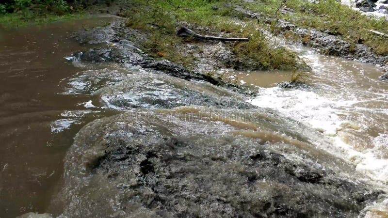 Swift River Water Flow Against the Background of Trees and Greenery in ...