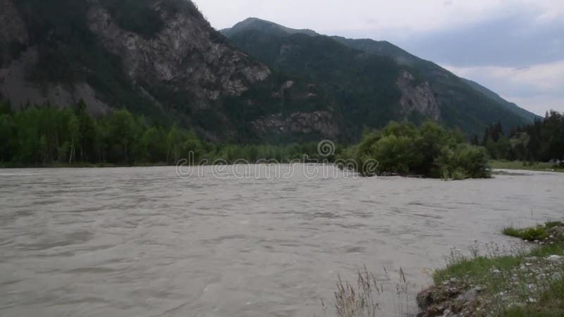 Swift Water Flow in Small Mountain River, Trees Along the River Bank ...