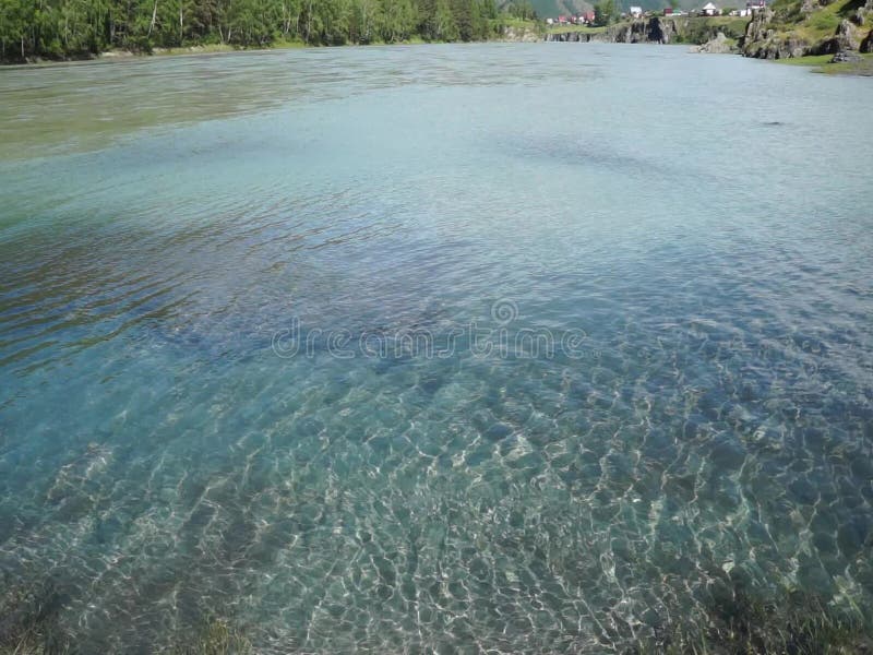 Swift Water Flow in Small Mountain River, Trees Along the River Bank ...