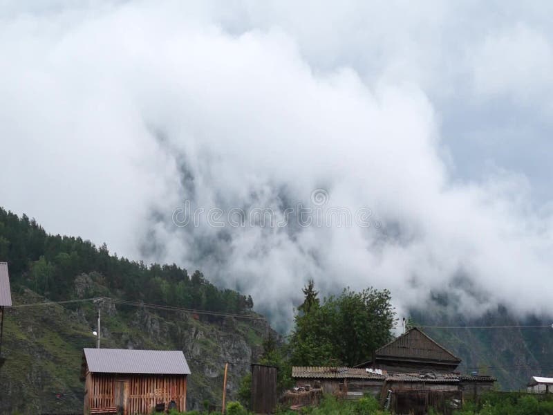 Swift Water Flow in Small Mountain River, Trees Along the River Bank ...