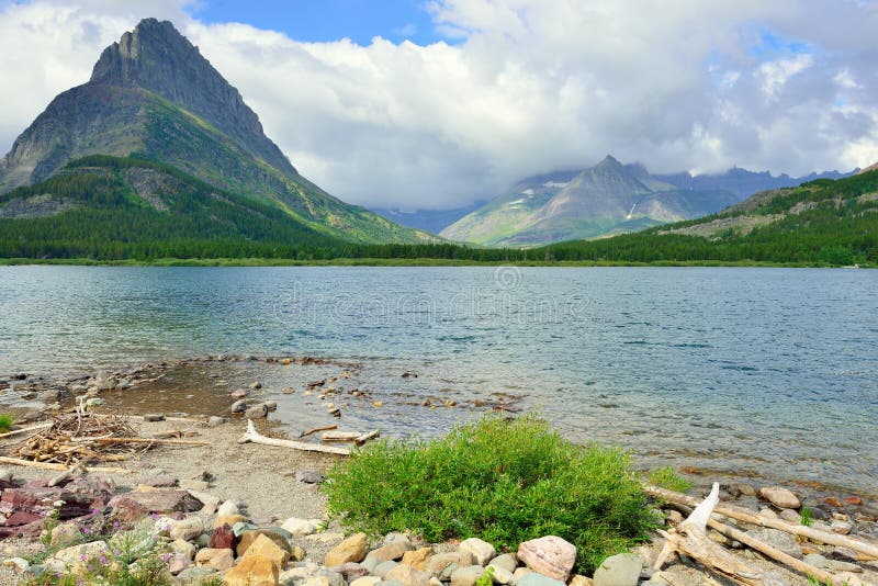 Swiftcurrent Lake in Glacier National Park Stock Photo - Image of ...