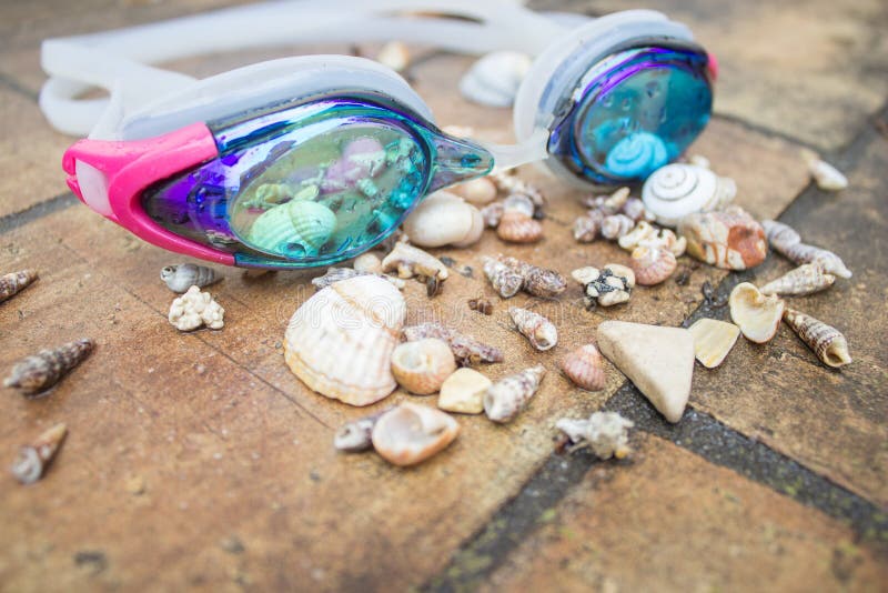 Goggles and Shells on the Sand Stock Photo - Image of scene, nature ...