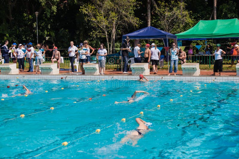 Swim Competition Pool Officials Stock Photos - Free & Royalty-Free ...
