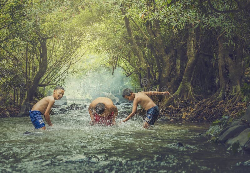 Swim in the stream stock photo. Image of nature, beautiful - 67310954