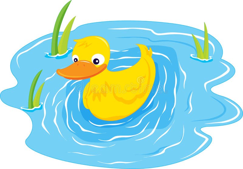 A swiming duck stock vector. Illustration of eyes, smiliing - 8848189