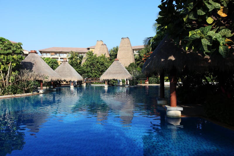 Swiming pool stock photo. Image of resort, hotel, trees - 12655022