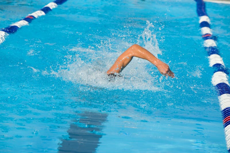 Swimmer Picture. Image: 6218648