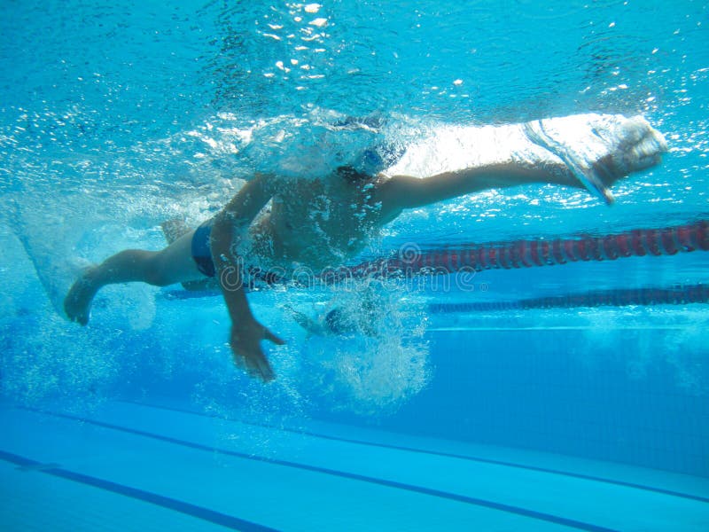Back View of Muscular Swimmer in Swimming Trunks Standing Stock Photo ...