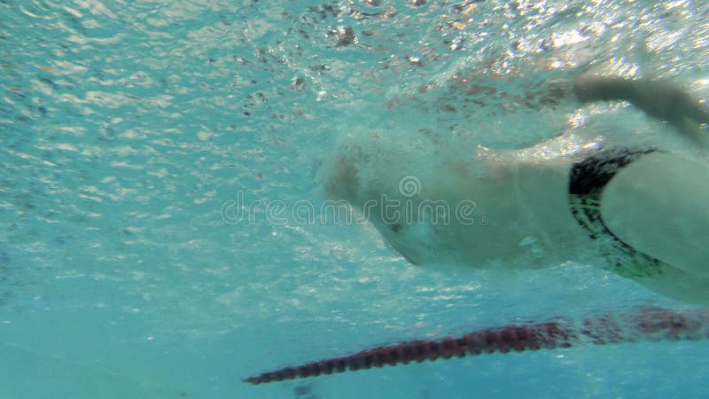 Underwater View Swimmer Swim Training in Slow Motion Freestyle Crawl ...