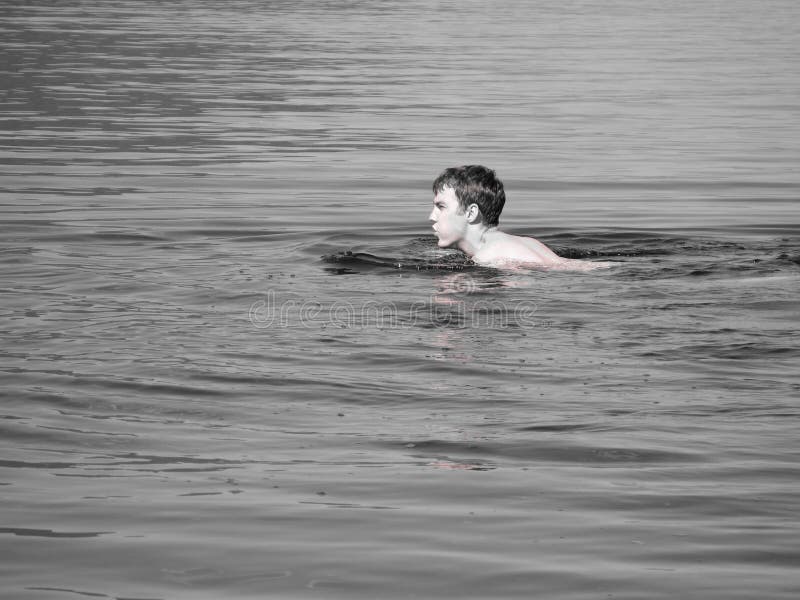 Swimmer in a lake stock photo. Image of nature, swimmer - 2930710