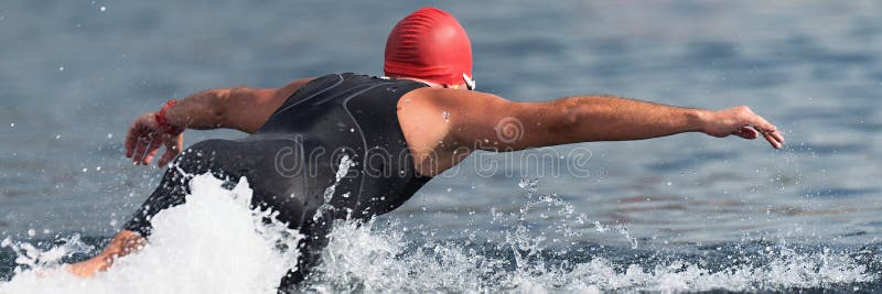 Swimmer at the start stock photo. Image of elite, professional - 260775584