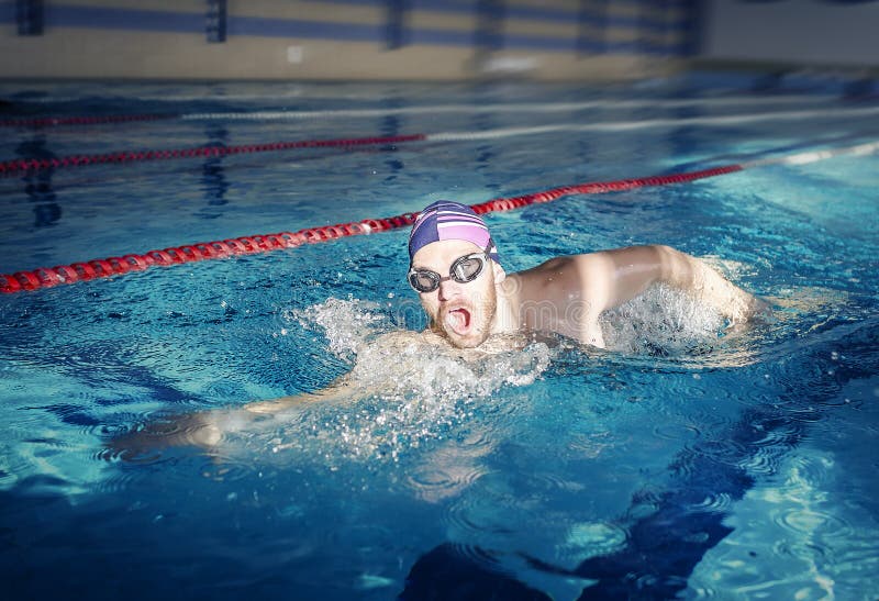 Muscular Professional Swimmer Stock Image - Image of olympic, people ...