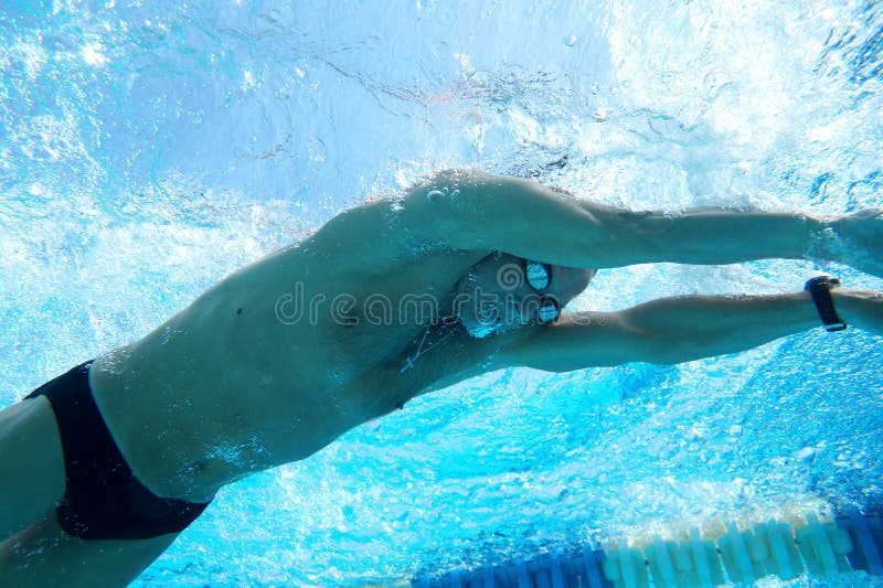 Swimmer in the Swimming Pool Stock Image - Image of designation ...