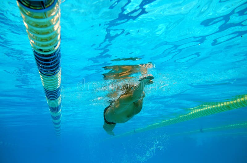 Swimmer in the Swimming Pool Stock Image - Image of swimmer, rest ...