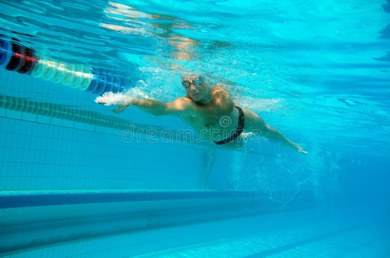 Swimmer in the Swimming Pool Stock Photo - Image of fitness, training ...