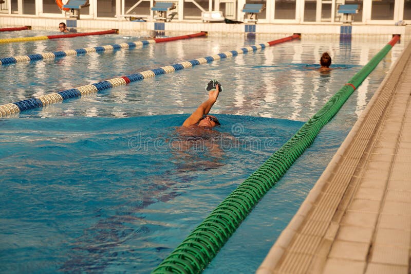 Swimmer in the Swimming Pool Stock Photo - Image of health, place: 93056544