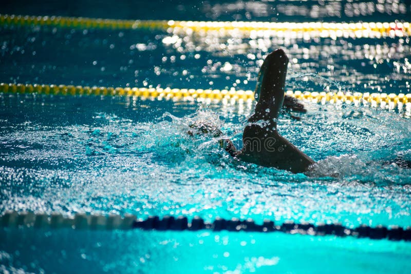 Swimmer Swims Freestyle in the Pool in Beautiful Sunlight Stock Image ...