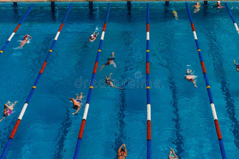 Swimmers Training Pool editorial photo. Image of swimming - 26923781