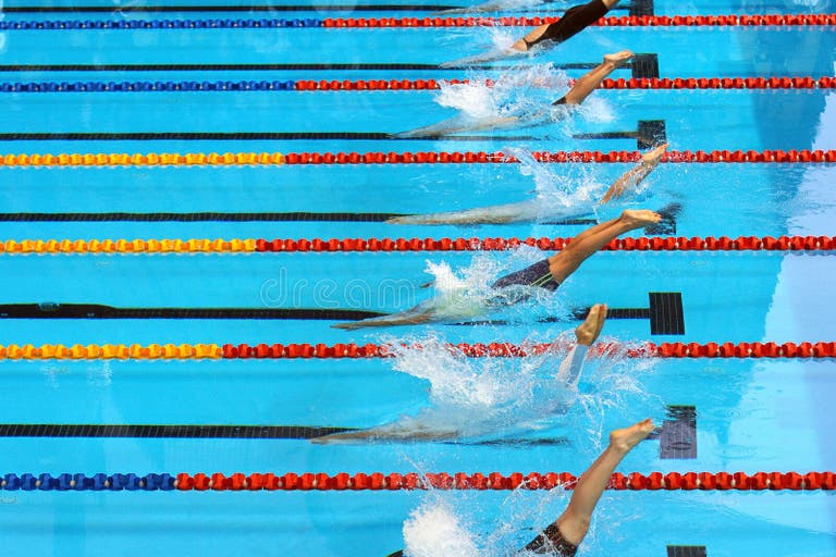 Swimmers dive in start stock photo. Image of women, swimming - 1961384