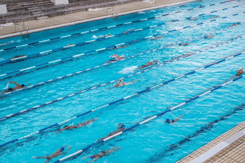Swimmers at the Outdoor Pool Training Editorial Stock Image - Image of ...