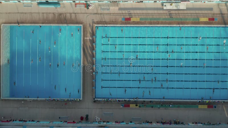 Swimmers Training Doing Laps in Blue Pool, Epic Overhead Top Down Birds ...