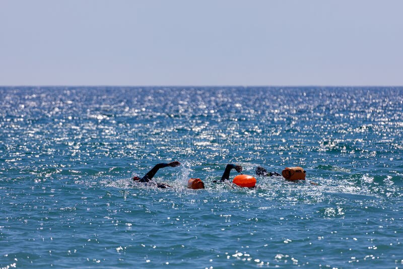 Swimmers Training on the Open Sea / Ocean Stock Photo - Image of ...