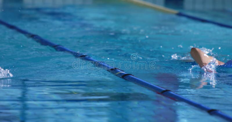 Swimmers Training in a Swimming Pool Stock Footage - Video of progress ...