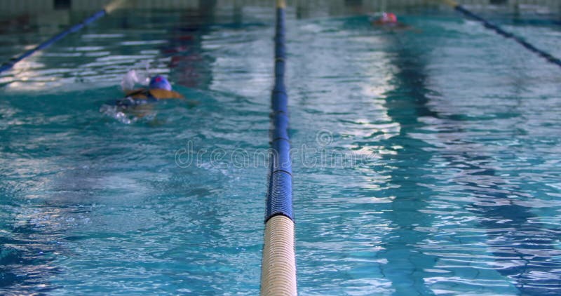 Swimmers Training in a Swimming Pool Stock Footage - Video of progress ...