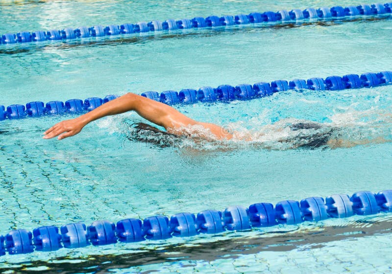 Swimming stock photo. Image of back, swimmer, competitive - 20799746