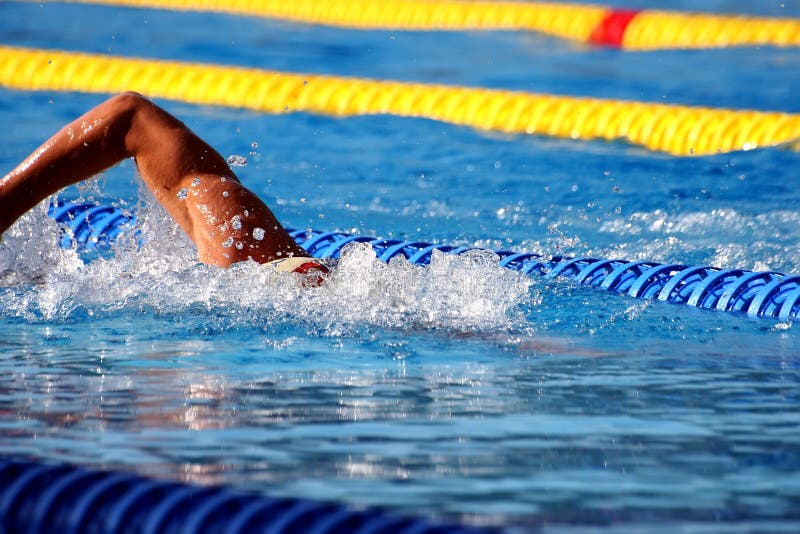 Competitive Swimming stock photo. Image of determination - 2282570