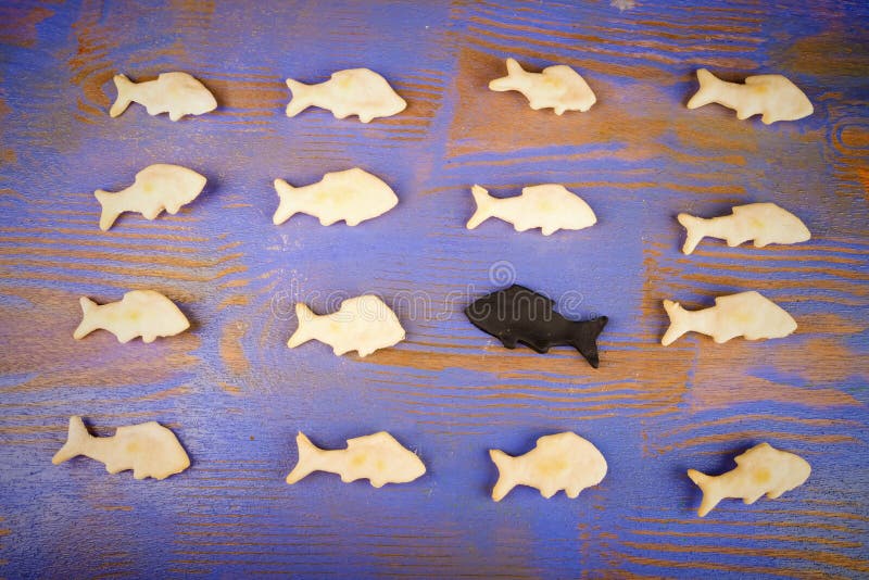 Against The Stream - Opposite Concept Stock Photo - Image of goldfish ...