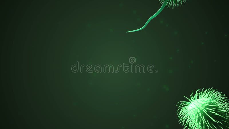 Swimming bacteria stock footage. Video of middle, offices - 51837222