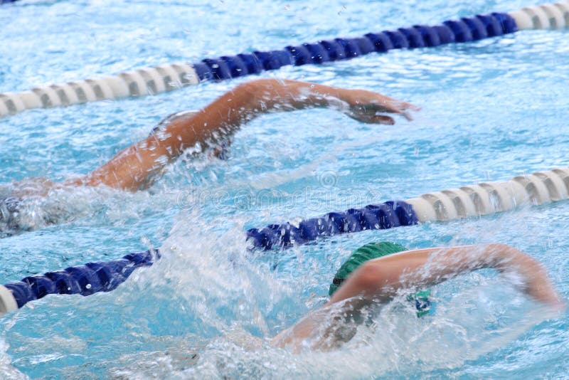 Competitive Swimming stock photo. Image of muscle, sports - 2282604