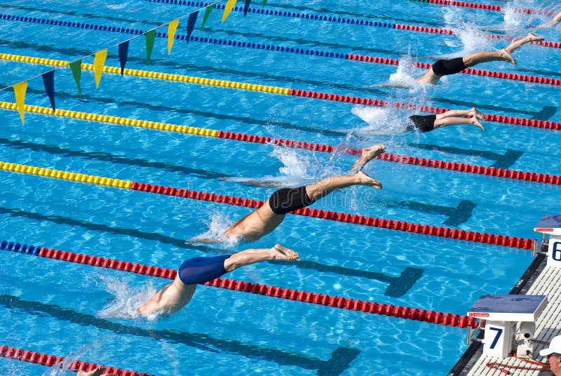Swimming competition stock photo. Image of athletic, swimming - 15102840