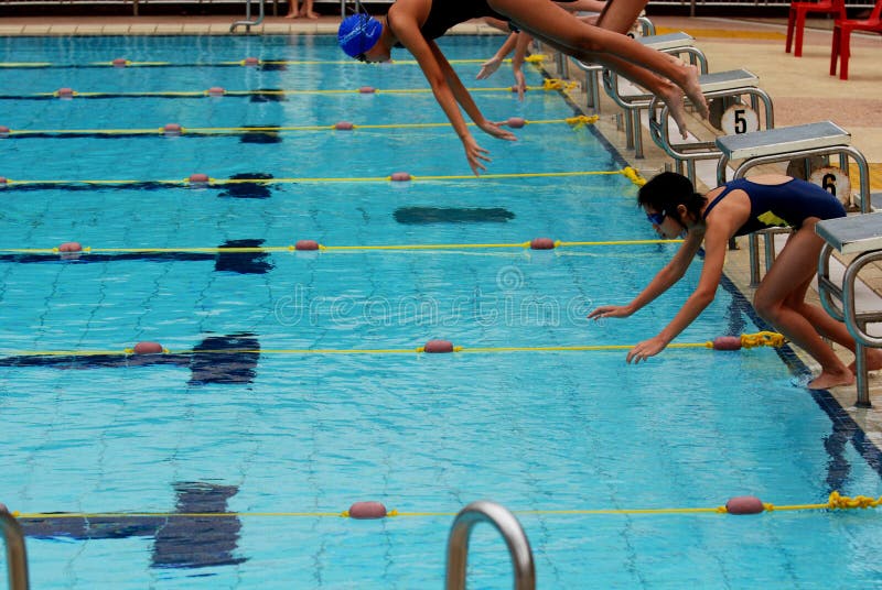 Swimming competition stock photo. Image of water, sport - 2415606