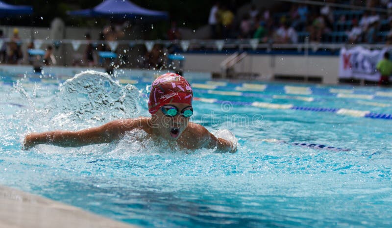 Swimming contest editorial stock image. Image of blue - 27392629