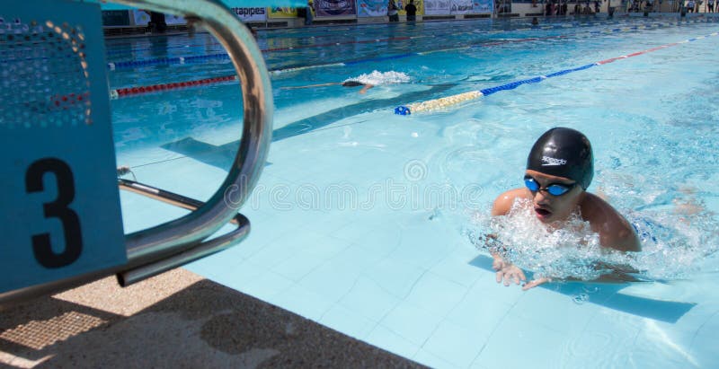 Swimming contest editorial image. Image of lifestyle - 27464085